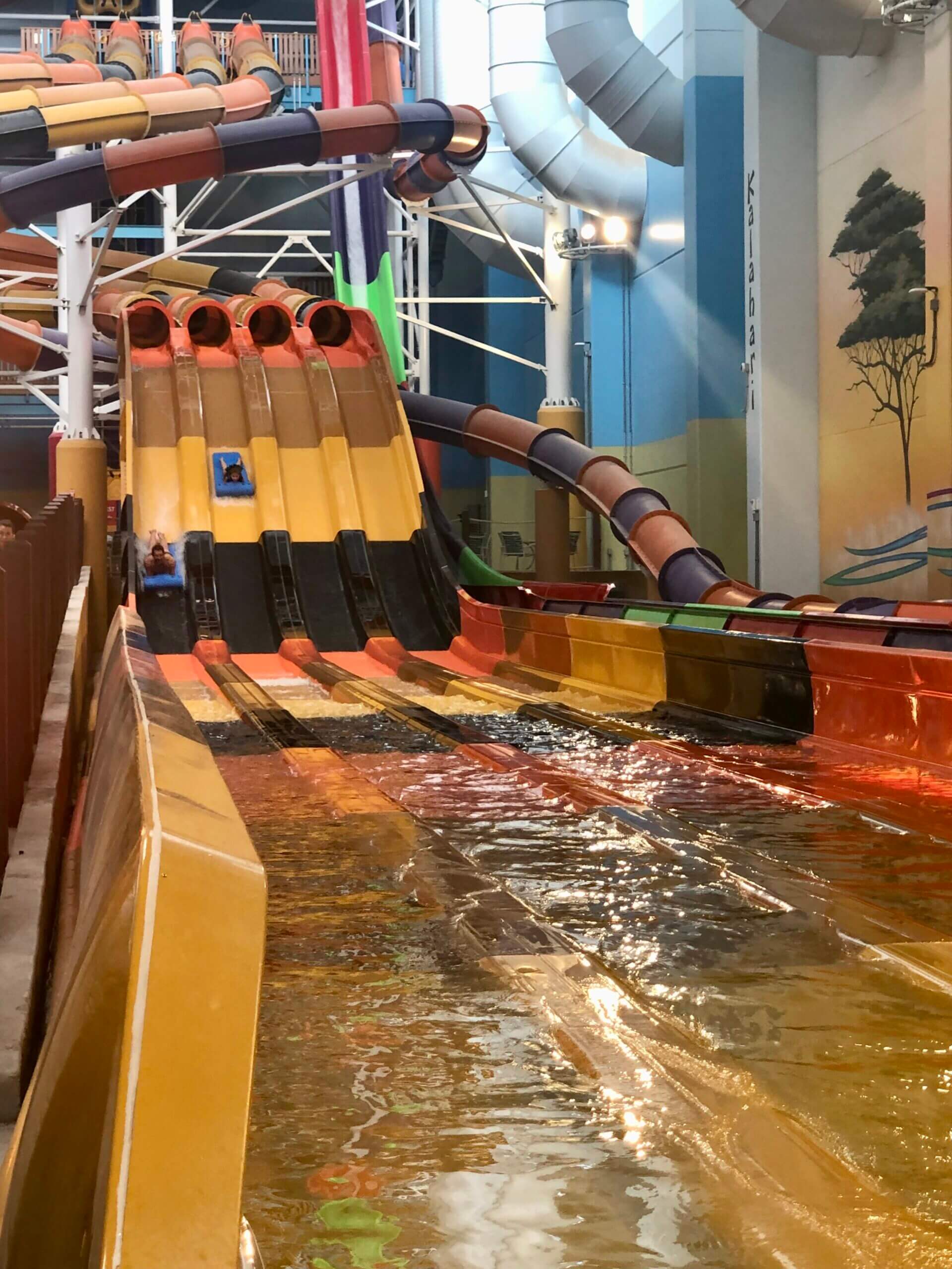 Kalahari Resort Family Trip- A list of secrets all moms need to know ...